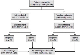 Safety of Celecoxib in Individuals Allergic to Sulfonamide | SpringerLink