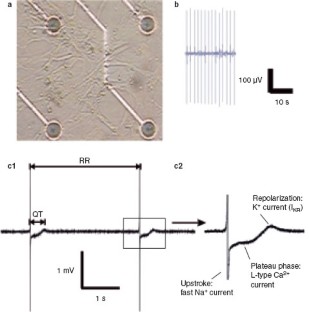 Micro-Electrode Arrays in Cardiac Safety Pharmacology | SpringerLink