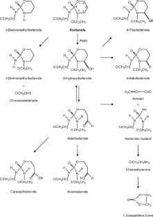 Clinical Pharmacokinetics and Pharmacodynamics of Ifosfamide and its ...