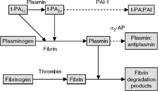 Pharmacokinetics and Pharmacodynamics of Tenecteplase in Fibrinolytic ...