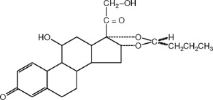 Pharmacokinetics of Budesonide (Entocort™ EC) Capsules for Crohn’s ...
