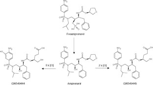 Fosamprenavir | SpringerLink
