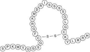 Nesiritide | SpringerLink