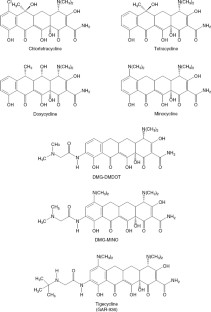 The Glycylcyclines | SpringerLink