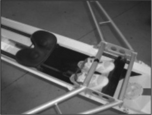 Rowing Injuries | SpringerLink