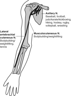 Peripheral Nervous System Injuries in Sport and Recreation | SpringerLink