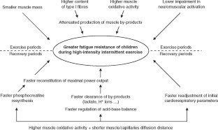 Muscle Fatigue during High-Intensity Exercise in Children | SpringerLink