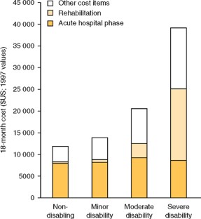 Economic Assessment of the Secondary Prevention of Ischaemic Stroke ...