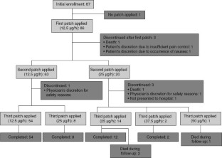 Efficacy, Safety and Pharmacokinetic Study of a Novel Fentanyl ...