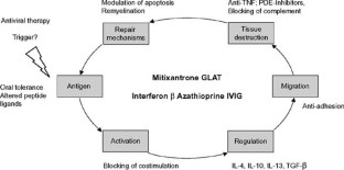 Relapsing-Remitting Multiple Sclerosis | SpringerLink