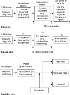 The Migraine Disability Assessment (MIDAS) Questionnaire in the Primary ...