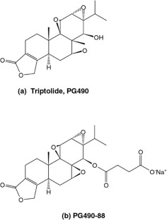Immunosuppressive and Anti-Inflammatory Mechanisms of Triptolide, the ...