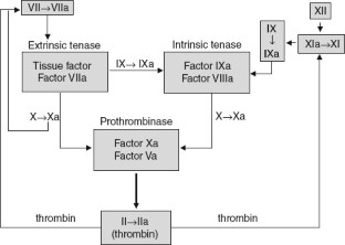 Inhibition of Factor Xa | SpringerLink