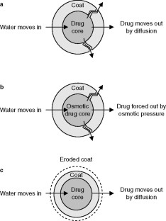 Coating of multiparticulates for sustained release | SpringerLink