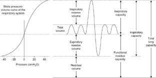 Pathophysiology of Neonatal Respiratory Distress Syndrome | SpringerLink