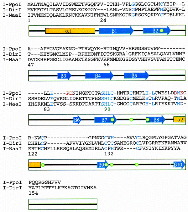 DNA binding and cleavage by the nuclear intron-encoded homing ...