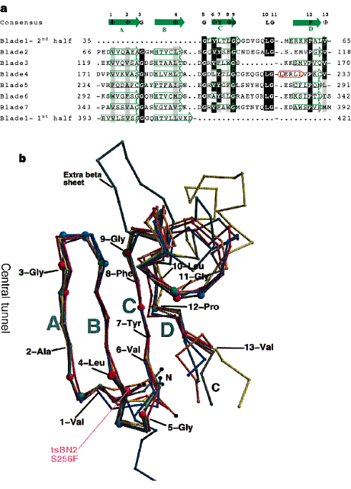 The 1.7 Å crystal structure of the regulator of chromosome condensation ...