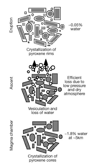 Geochemical evidence for magmatic water within Mars from pyroxenes in ...