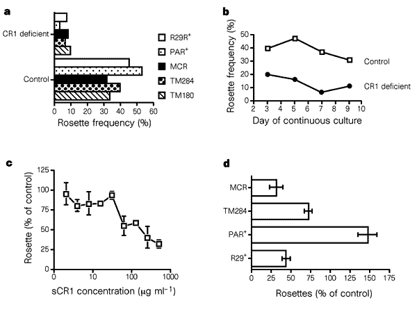 P. falciparum rosetting mediated by a parasite-variant erythrocyte ...
