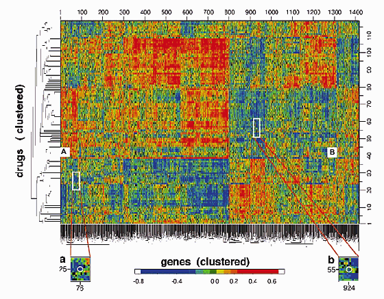 A gene expression database for the molecular pharmacology of cancer ...