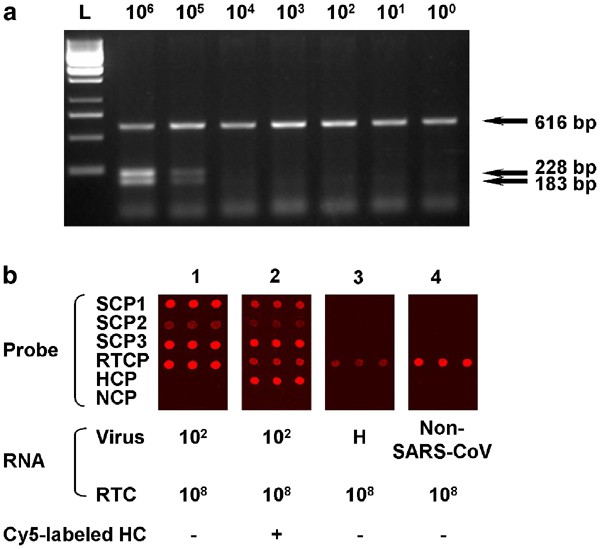 Coupling multiplex RT-PCR to a gene chip assay for sensitive and ...