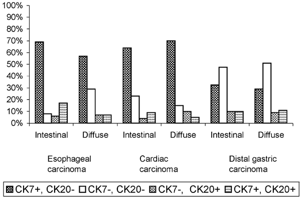 Identical cytokeratin expression pattern CK7+/CK20− in esophageal and cardiac cancer ...