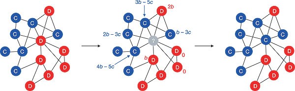 A simple rule for the evolution of cooperation on graphs and social ...