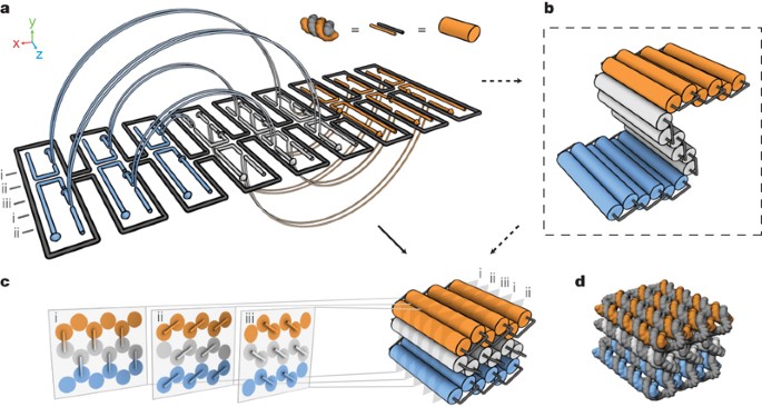 Self-assembly of DNA into nanoscale three-dimensional shapes | Nature