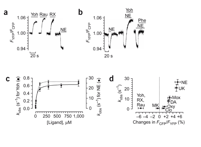 Molecular basis of inverse agonism in a G protein–coupled receptor ...