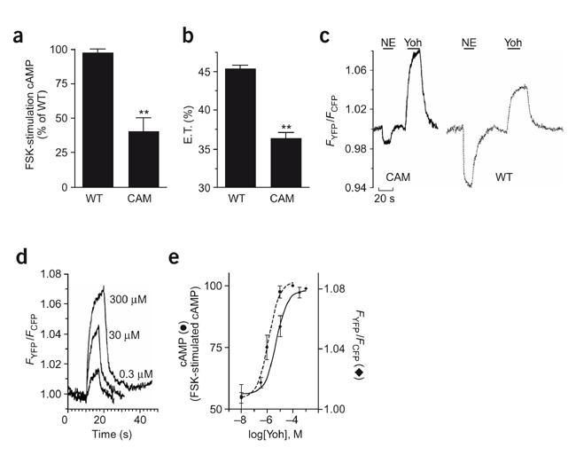 Molecular basis of inverse agonism in a G protein–coupled receptor ...