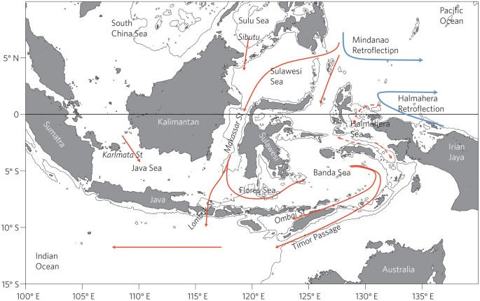 The Indonesian seas and their role in the coupled ocean–climate system ...