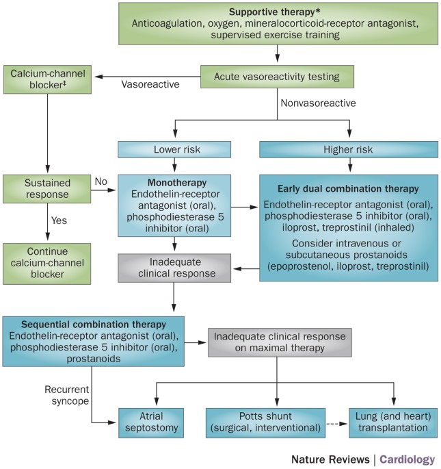 Treatment of pulmonary arterial hypertension in children | Nature ...