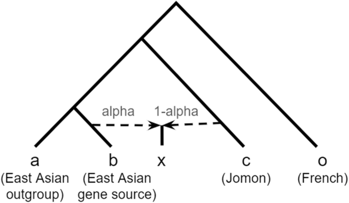 Genetic analysis of a Yayoi individual from the Doigahama site provides ...