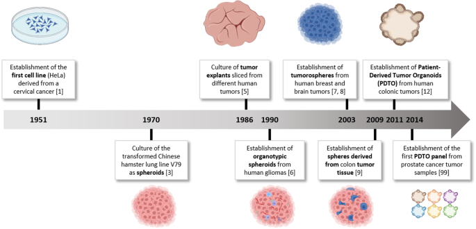 Patient-derived tumor organoids: a new avenue for preclinical research ...