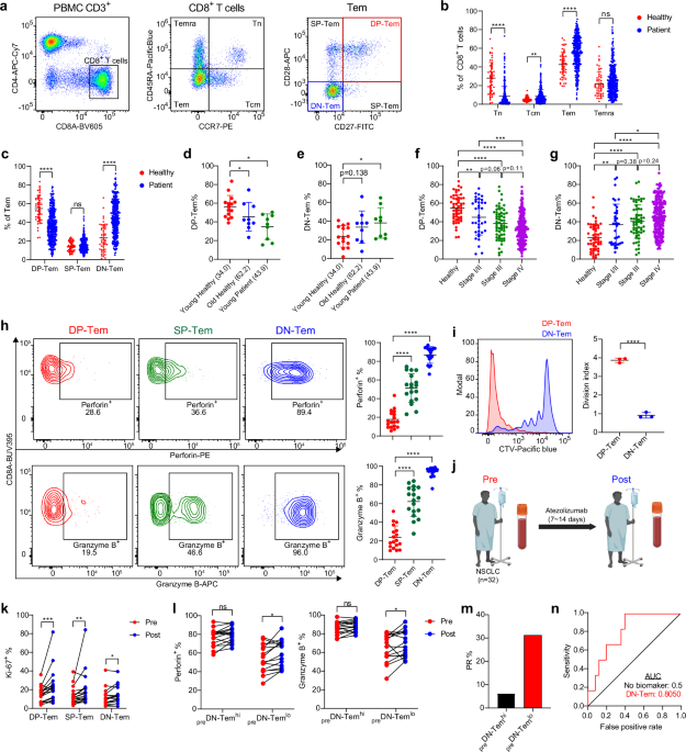 Progressive accumulation of circulating CD27−CD28− effector/memory CD8 ...