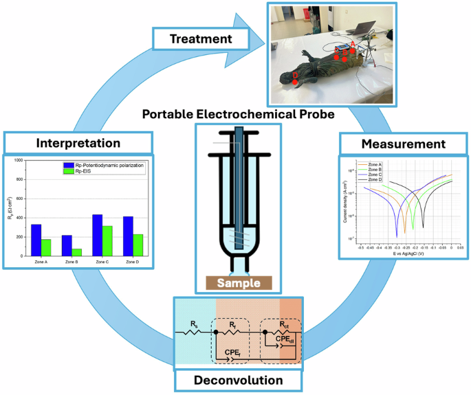 Development and application of an electrochemical probe for localized ...