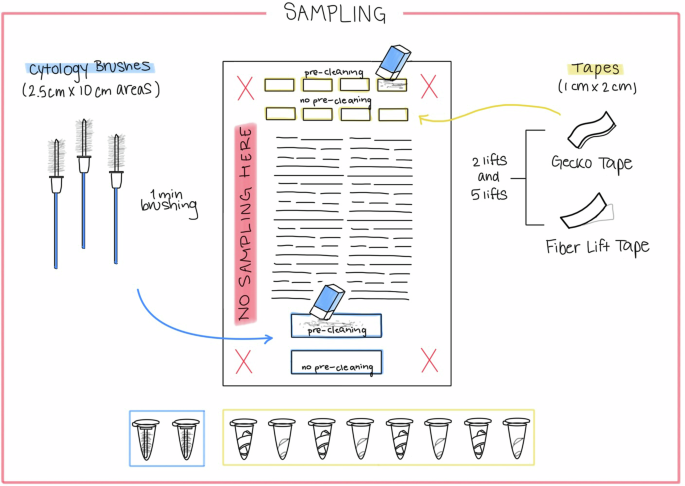 Evaluating non-destructive sampling methods of parchment for genomic ...
