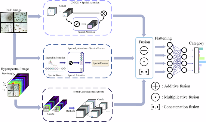 Mold spot detection for paper artifacts based on multimodal feature ...