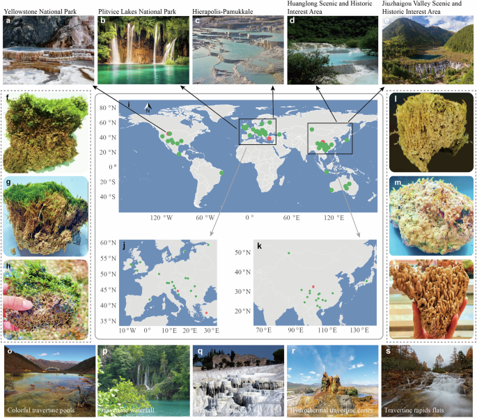 Bryophytes as functional regulators in petrifying springs: a ...