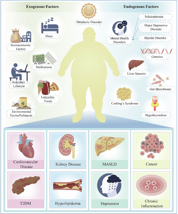 Multiomics strategy-based obesity biomarkers discovery for precision ...