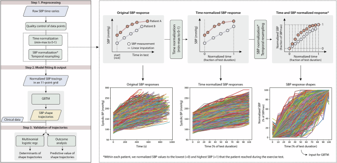 The shape of the systolic blood pressure response during graded ...