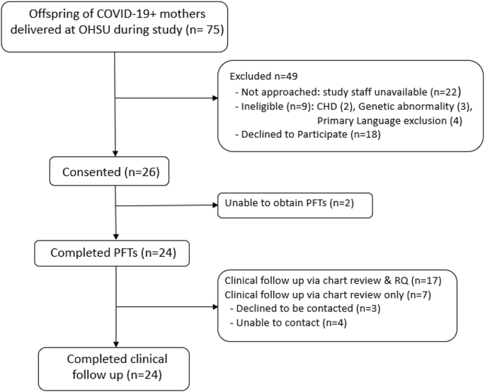Neonatal pulmonary function tests in infants born to COVID-19 positive ...