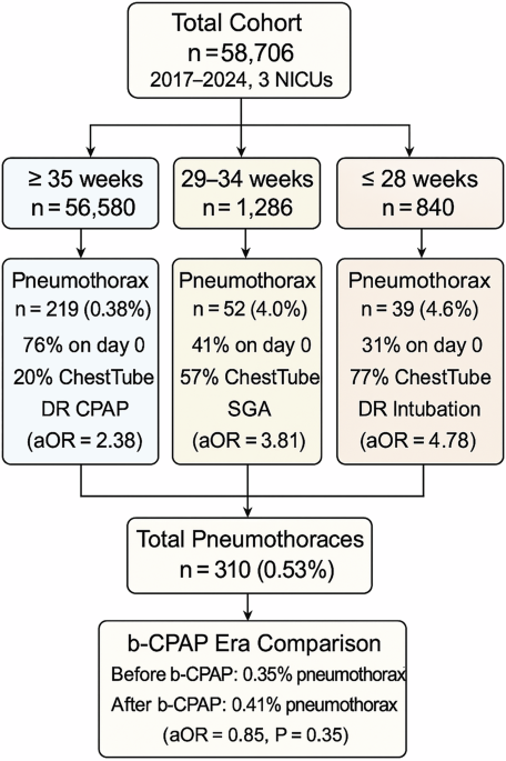 Pneumothorax in newborns: a cohort study from three NICUs | Journal of ...