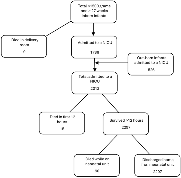 Trends of care patterns and outcomes of very low birth weight infants ...