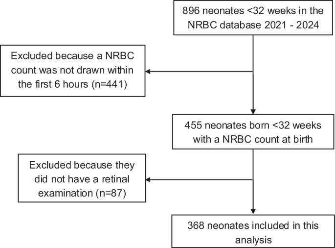 The nucleated red blood cell count at birth, the volume of red cell ...
