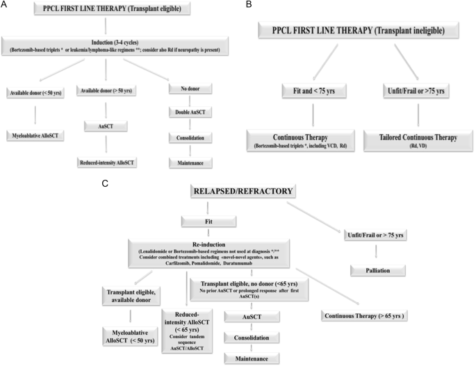European myeloma network recommendations on diagnosis and management of ...