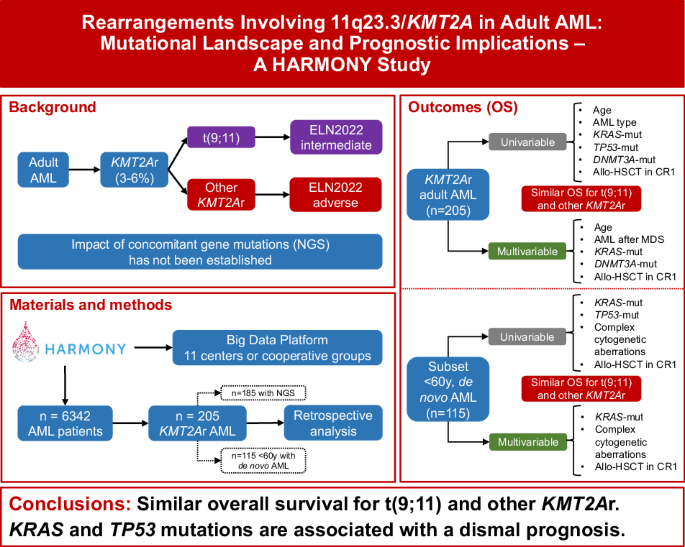 Rearrangements involving 11q23.3/KMT2A in adult AML: mutational ...