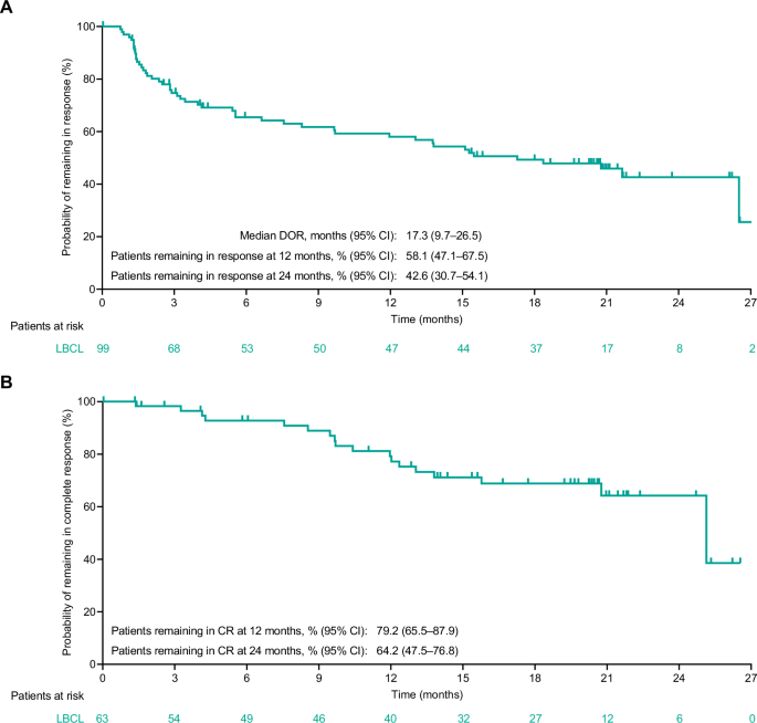 Epcoritamab in relapsed/refractory large B-cell lymphoma: 2-year follow ...
