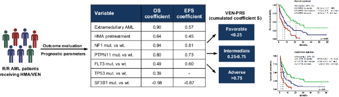 A novel prognostic risk model for patients with refractory/relapsed acute myeloid leukemia ...