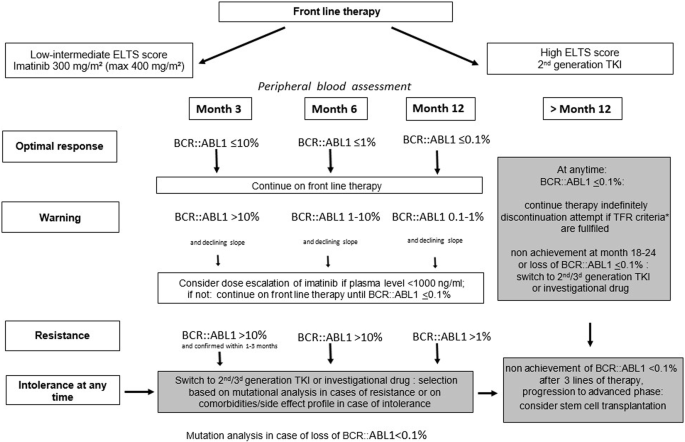 Management of children and adolescents with chronic myeloid leukemia in ...